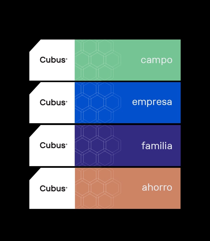 Projects > Cubus - BIGMOON